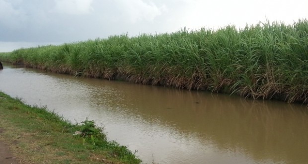 Friday, 30 August 2013, 20:51 – Demerara Waves Online News- Guyana