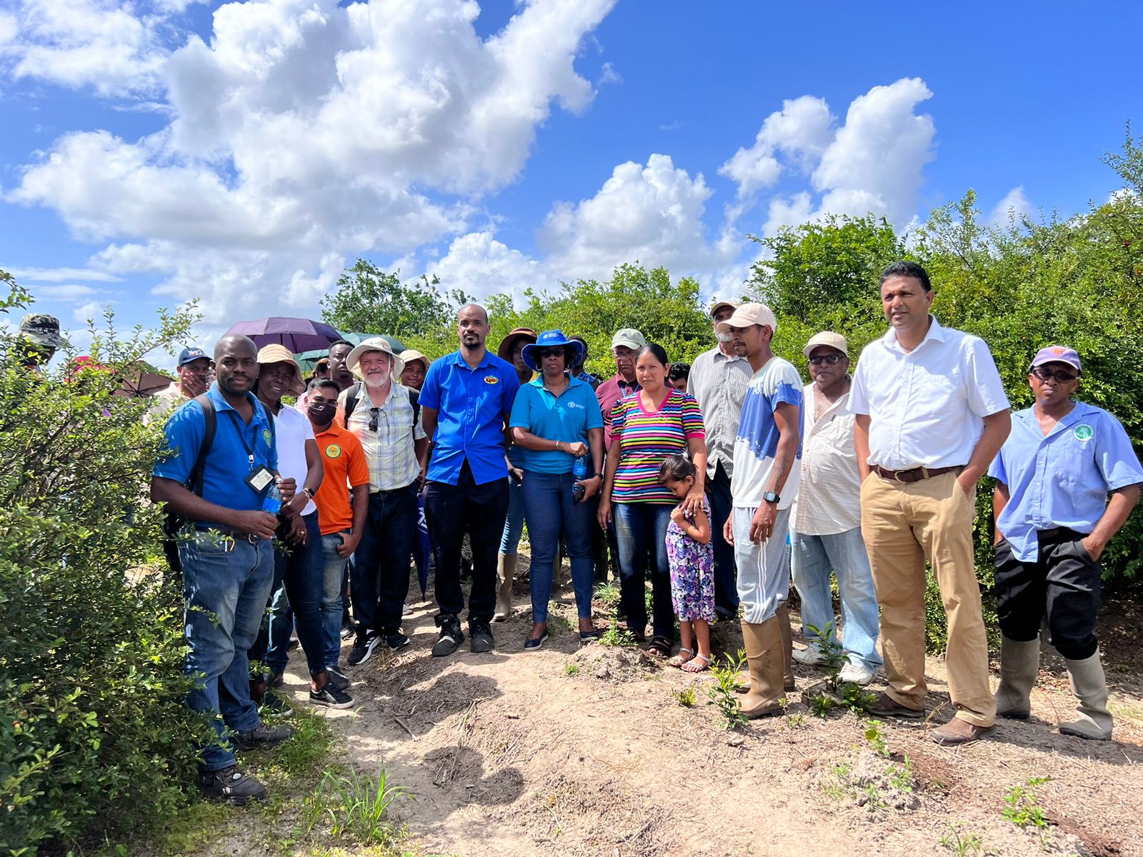 FAO assisting Guyana to increase cherry production – Demerara Waves ...